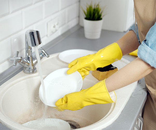 Standard In-Home and Community Supports – Diligent Care Services